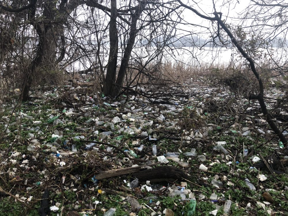 Where does your plastic waste go? - Earth Day