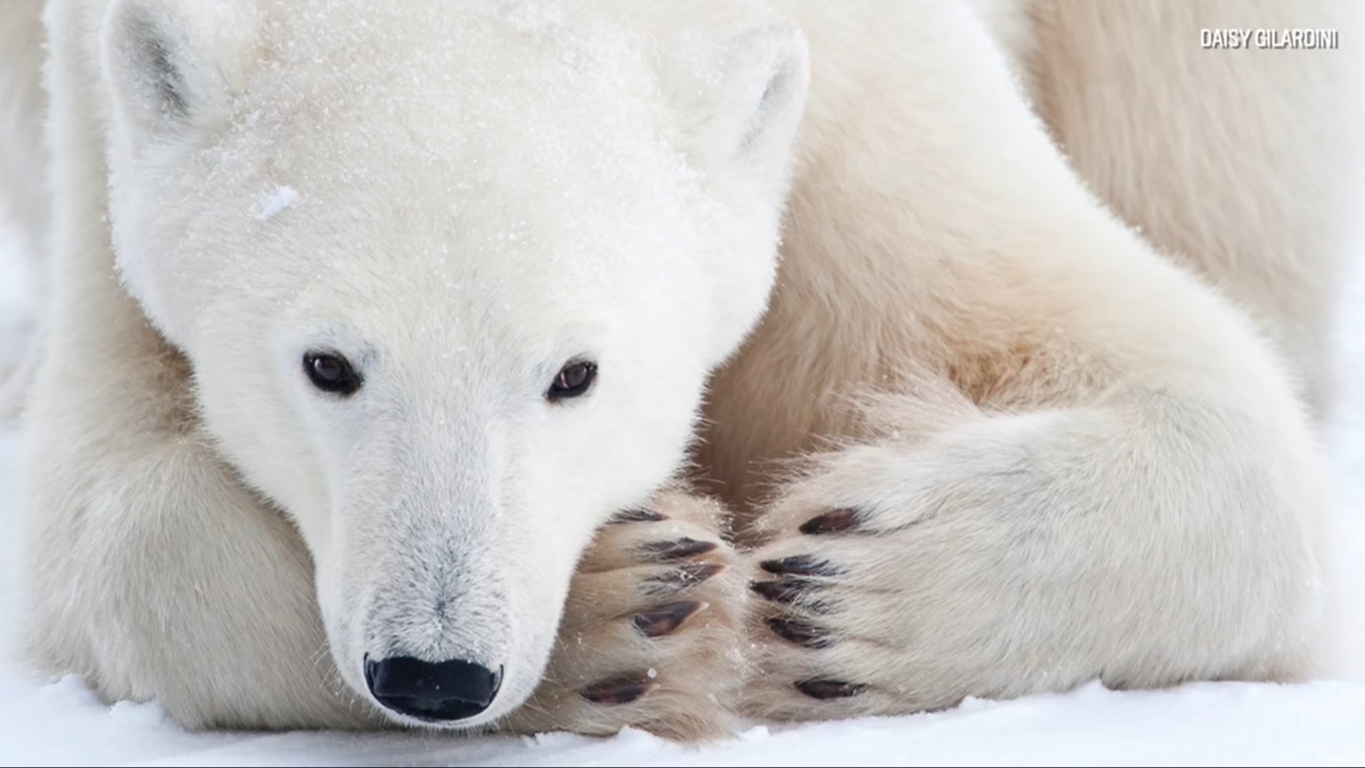 Fine Arts - Earth Day