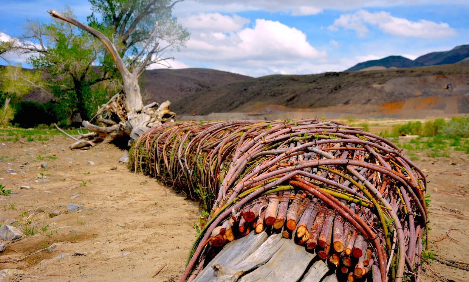 Fine Arts - Earth Day