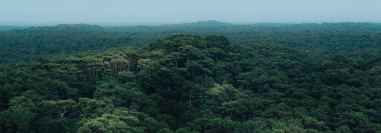 Amazon Rainforest - Earth Day