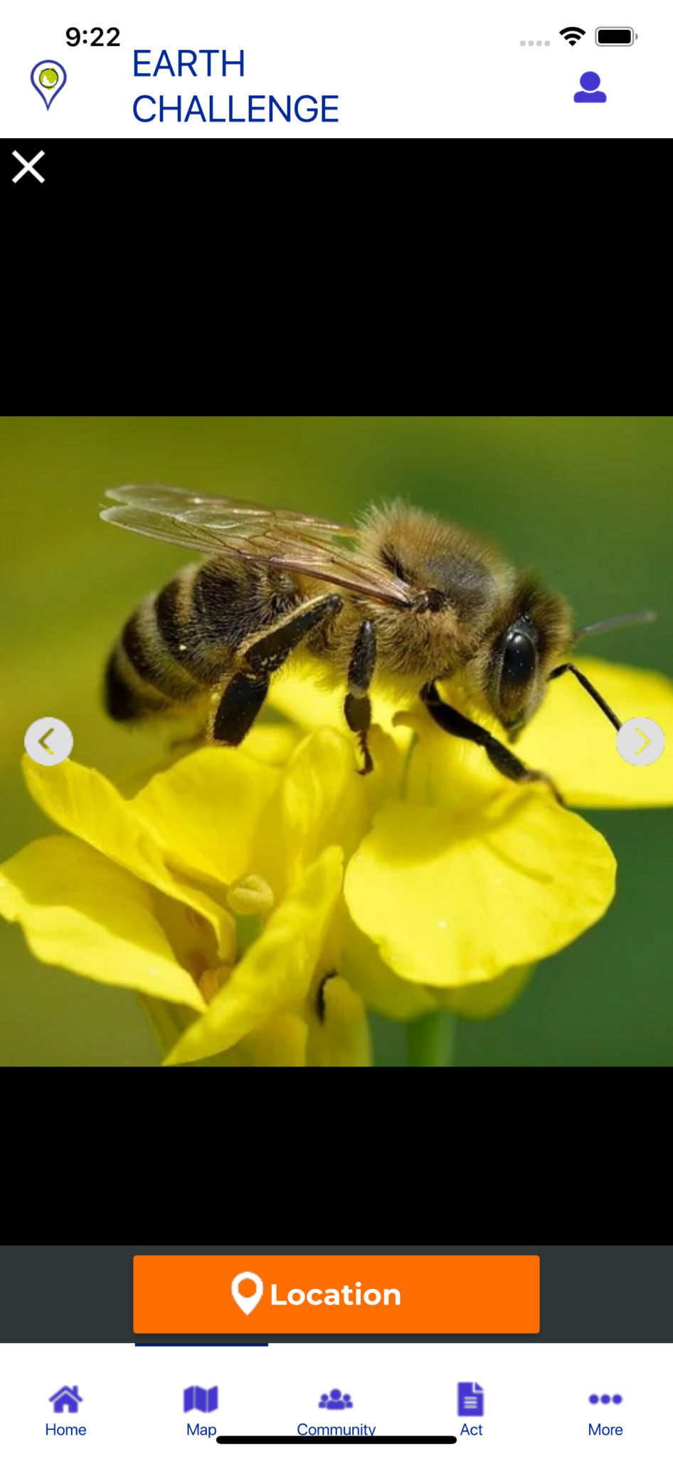 Bee Conservation Toolkit - Earth Day