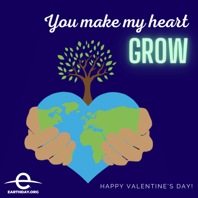 Valentine's Day - Earth Day