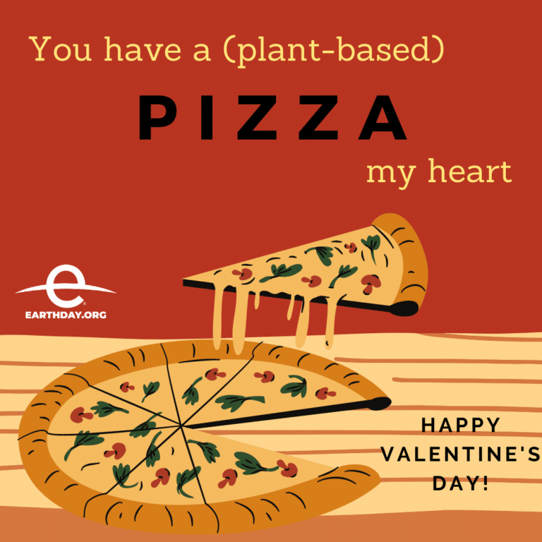 Valentine's Day - Earth Day