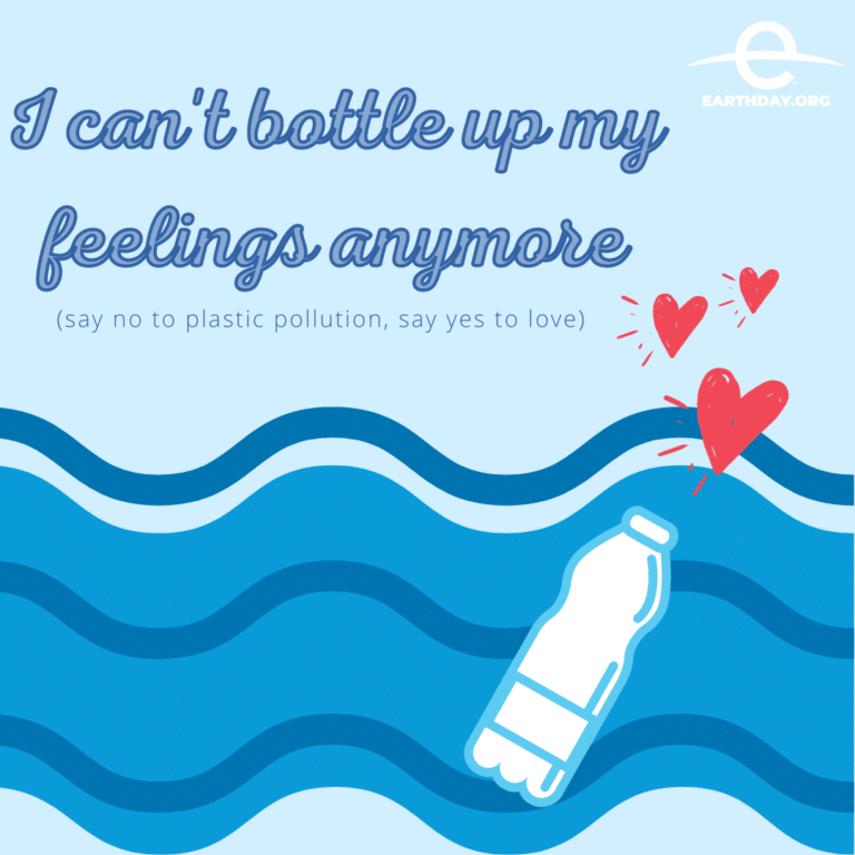 Valentine's Day - Earth Day