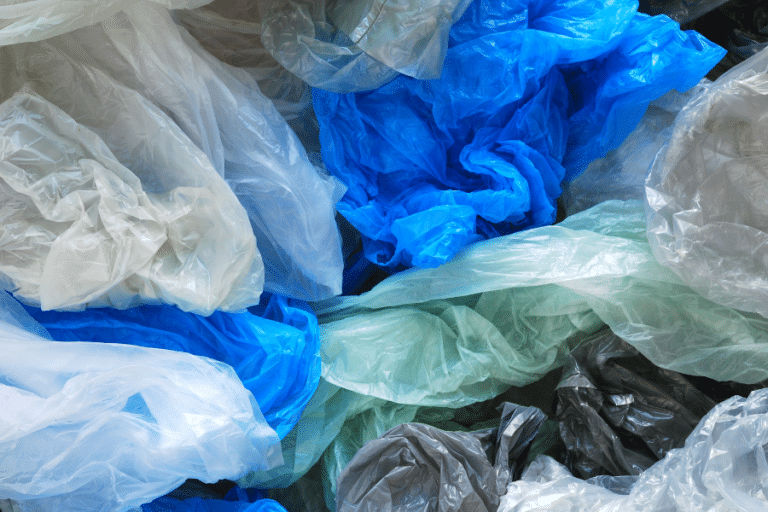Plastic Pollution Quiz | Earth Day