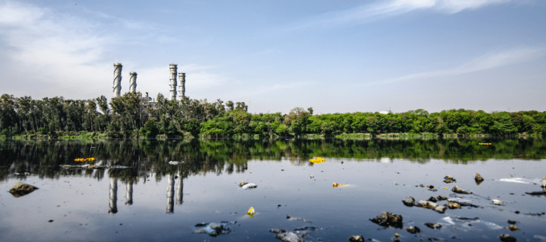 Plastic Pollution Quiz - Earth Day