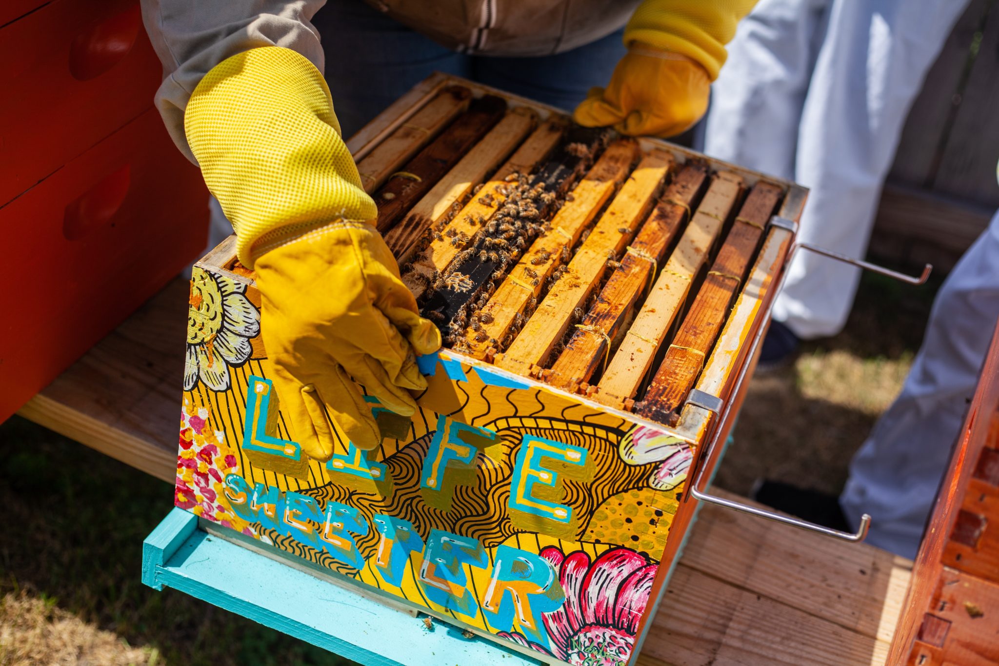 EARTHDAY.ORG's Bee Facts - Earth Day
