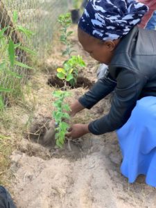 The Canopy Project Capetown | Earth Day