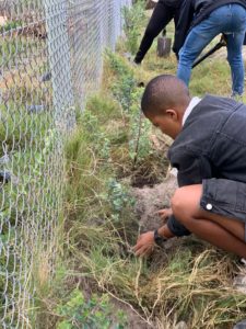 The Canopy Project Capetown | Earth Day