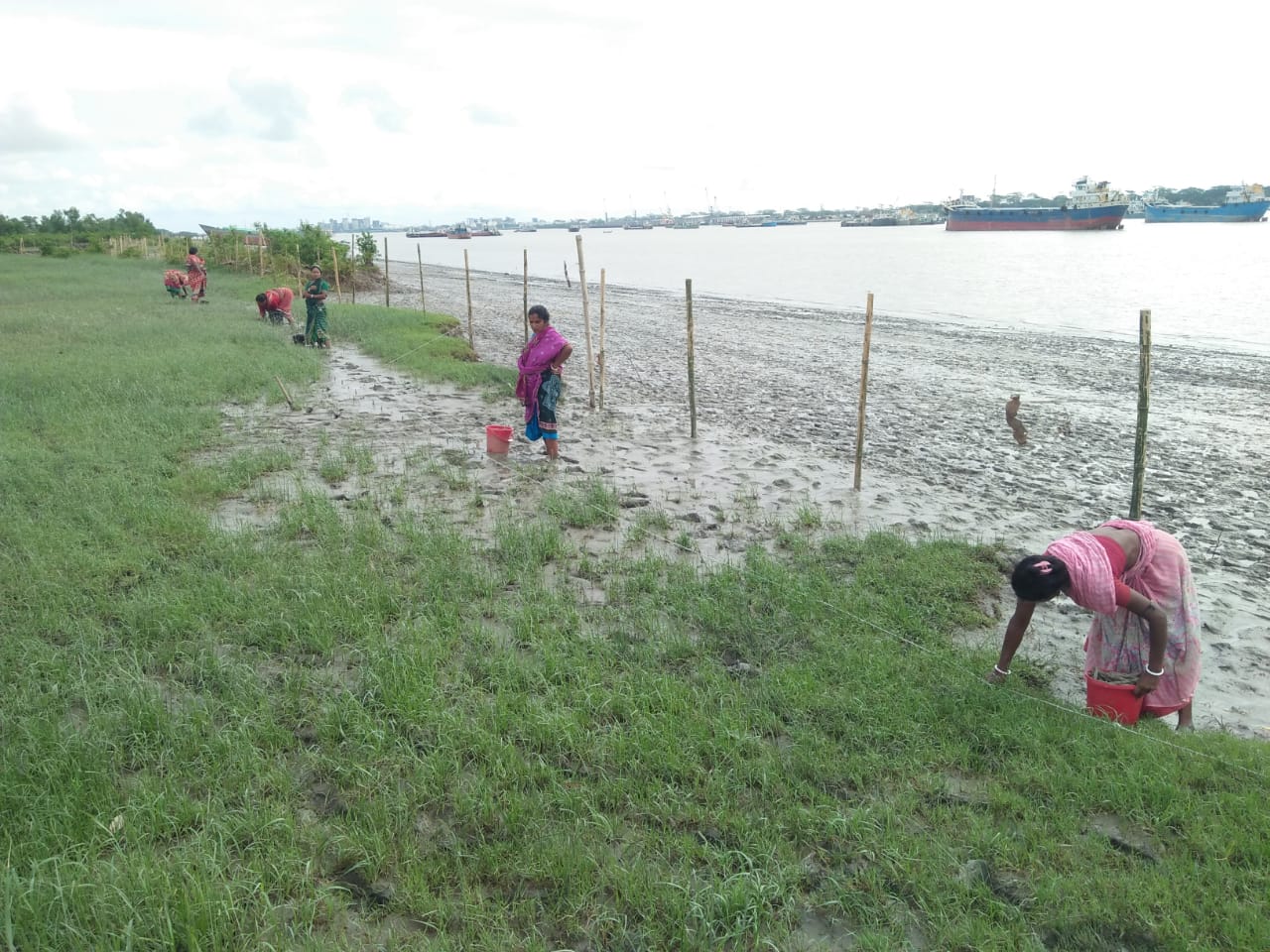 The Canopy Project Bangladesh | Earth Day