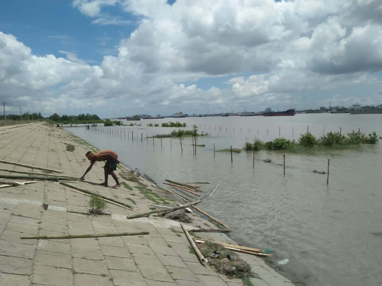 The Canopy Project Bangladesh | Earth Day