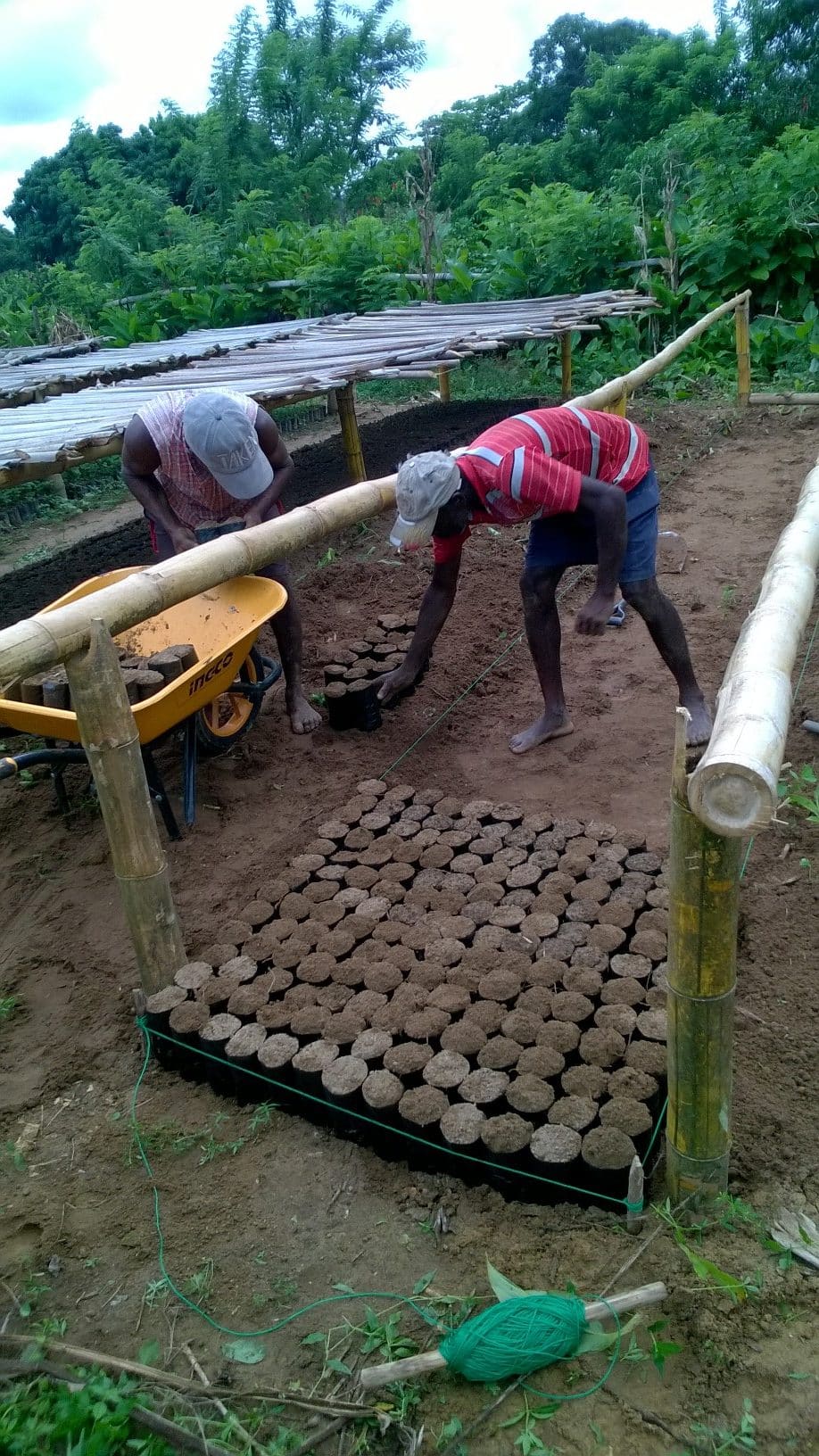 The Canopy Project Madagascar | Earth Day