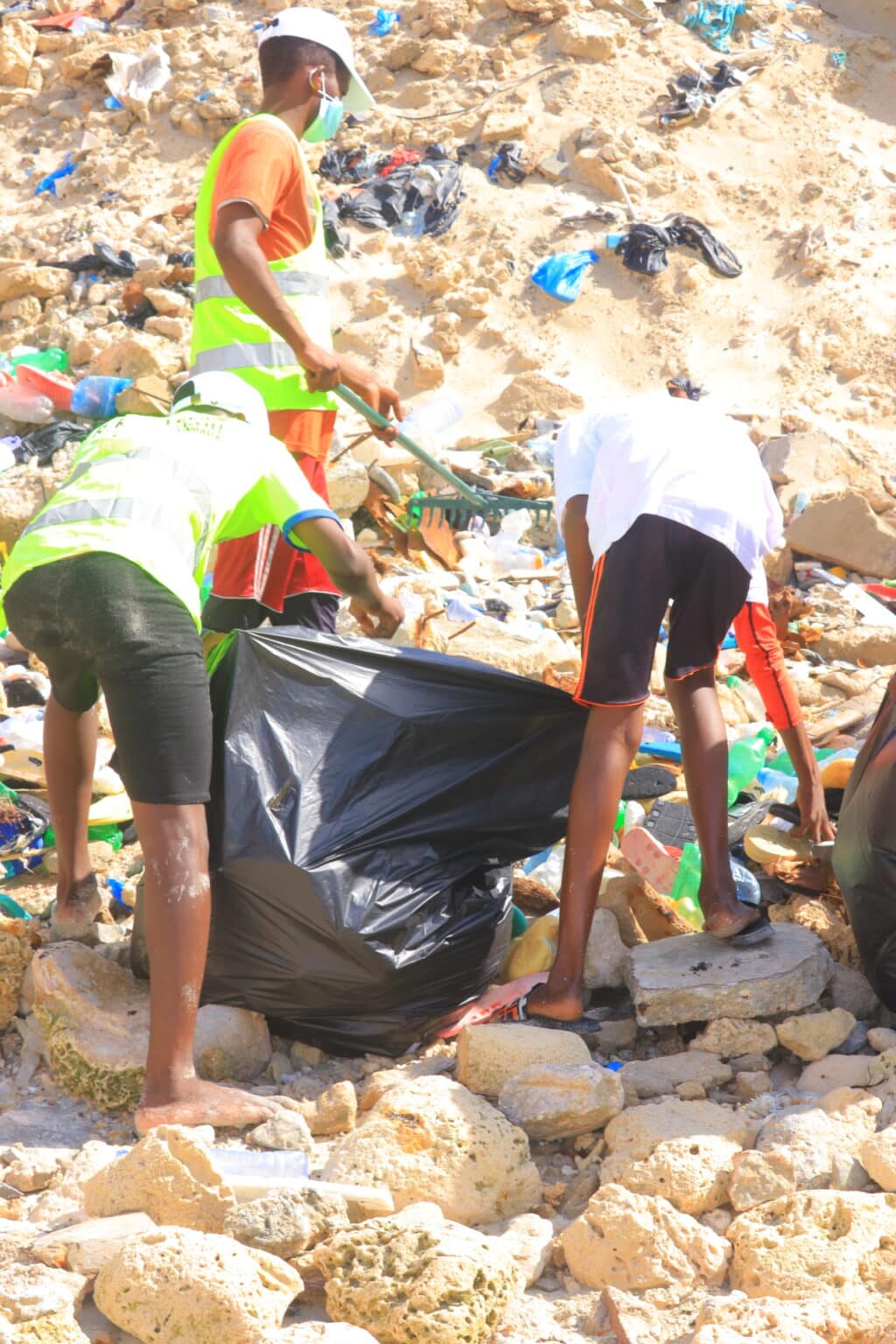 The Great Global Cleanup | Join a Cleanup