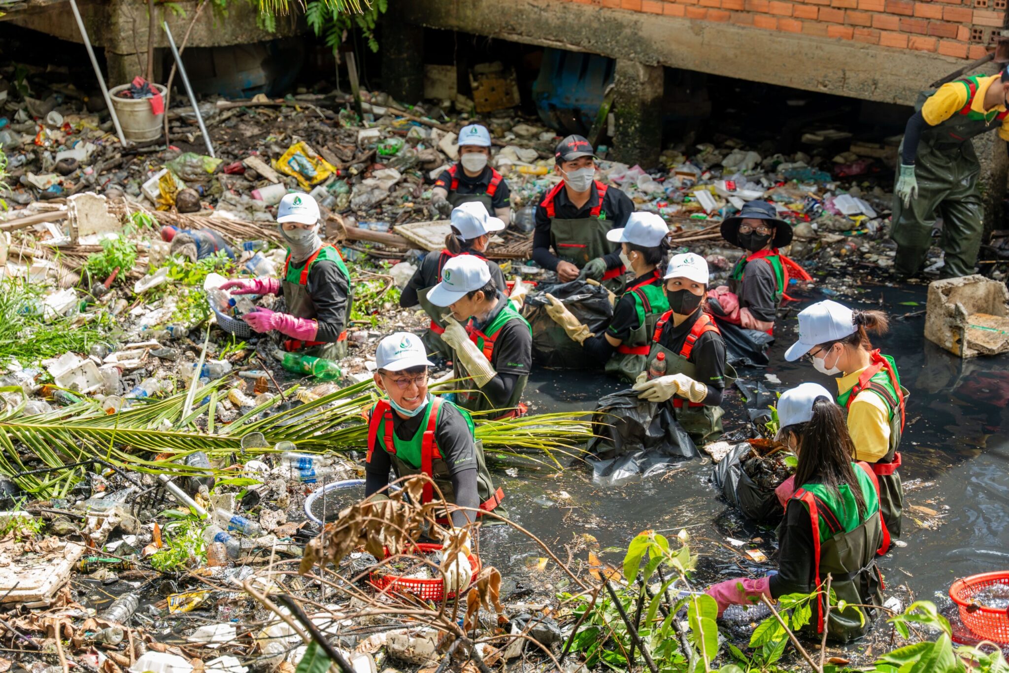 The Great Global Cleanup | Join a Cleanup
