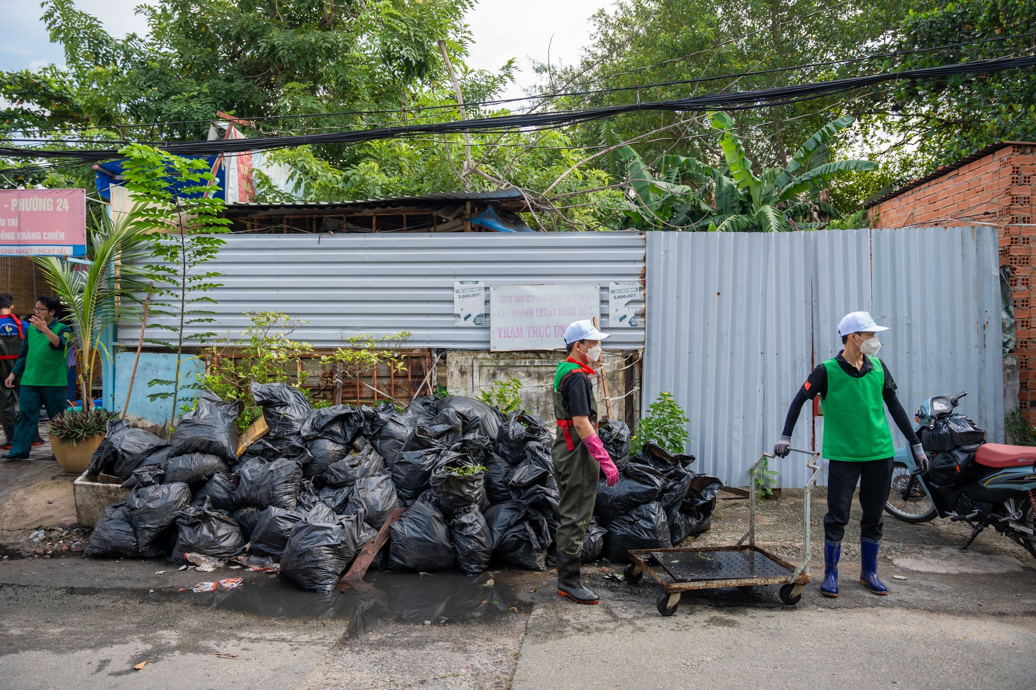 The Great Global Cleanup | Join a Cleanup