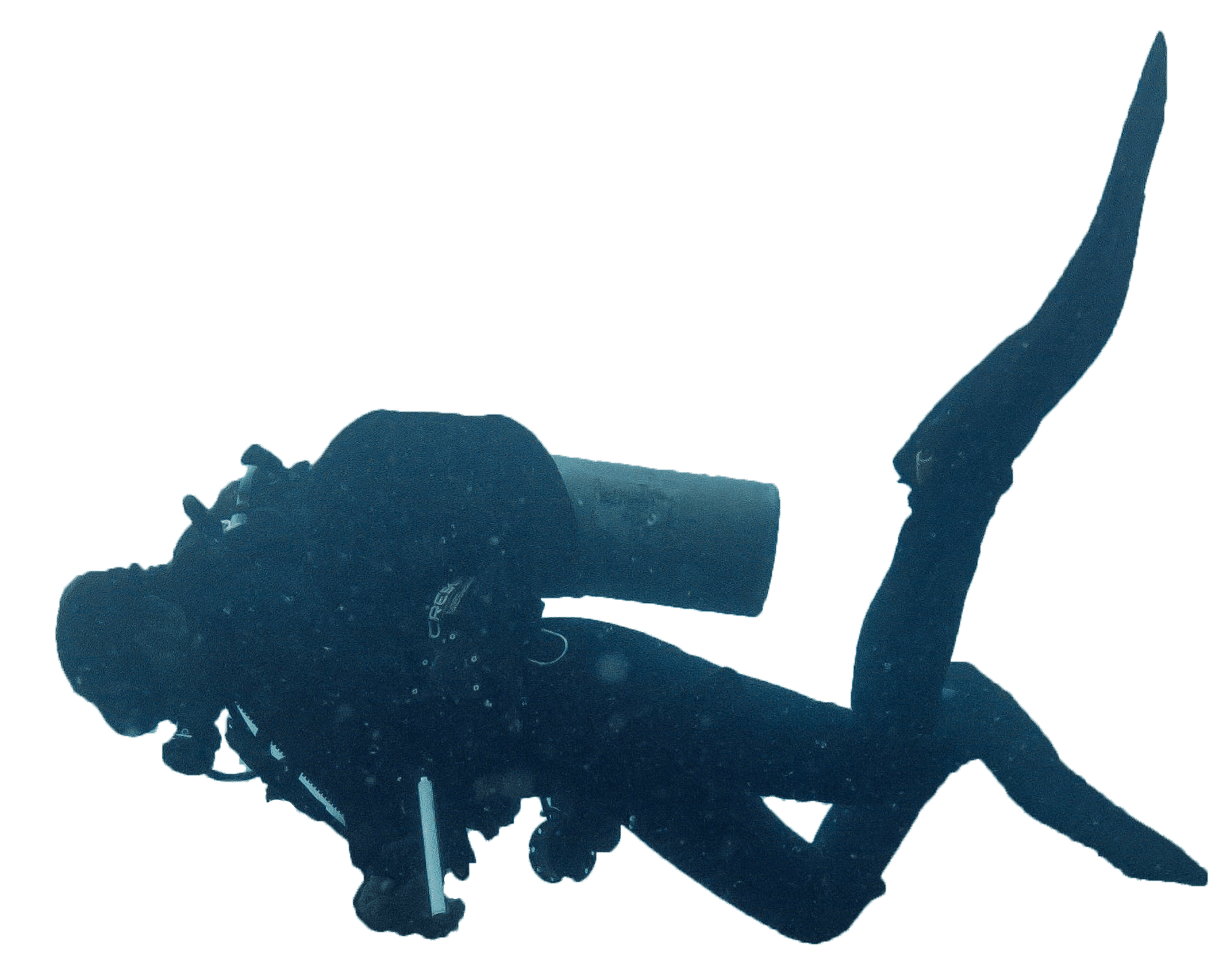 Dive for Earthday - Earth Day