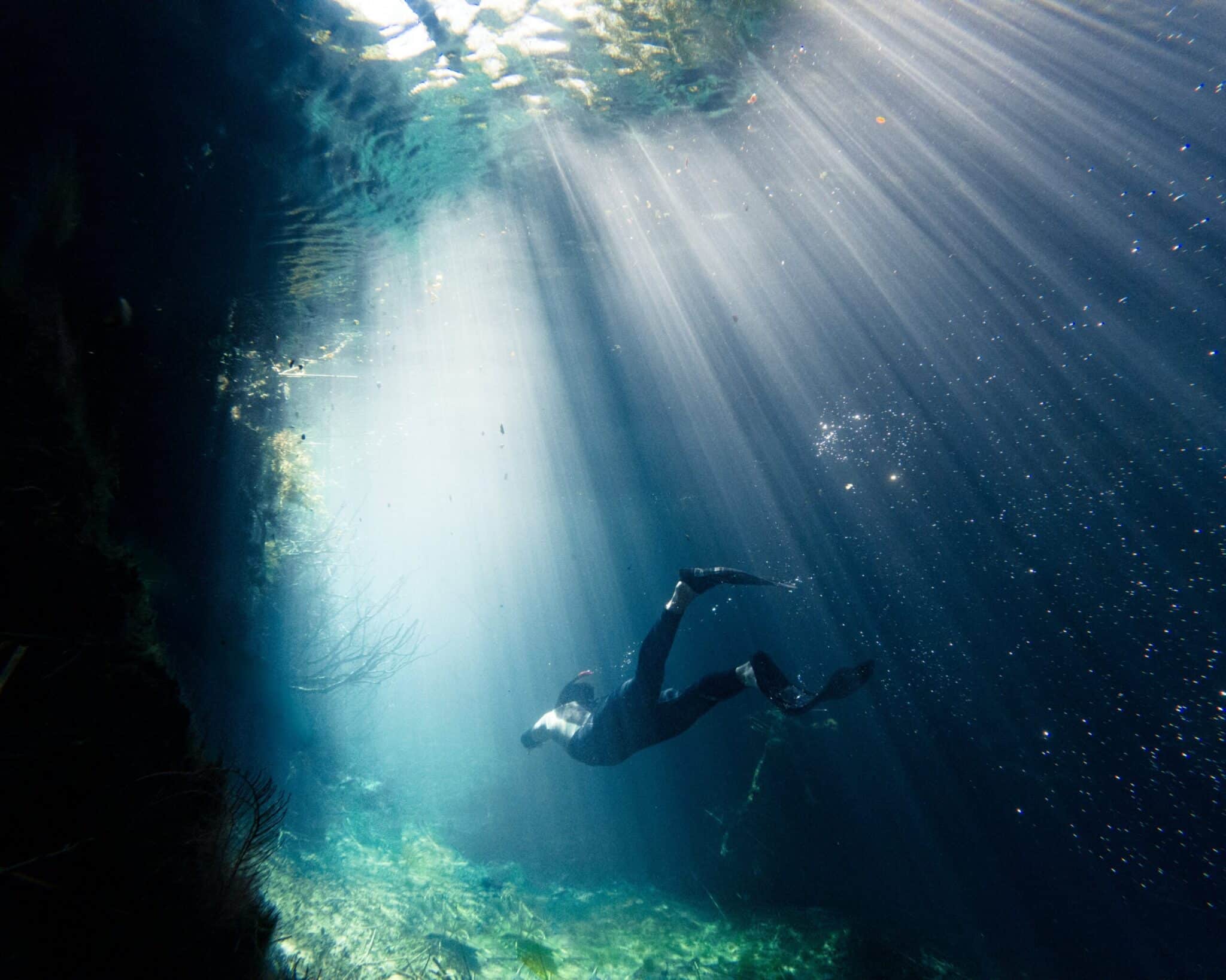Dive for Earthday | Earth Day