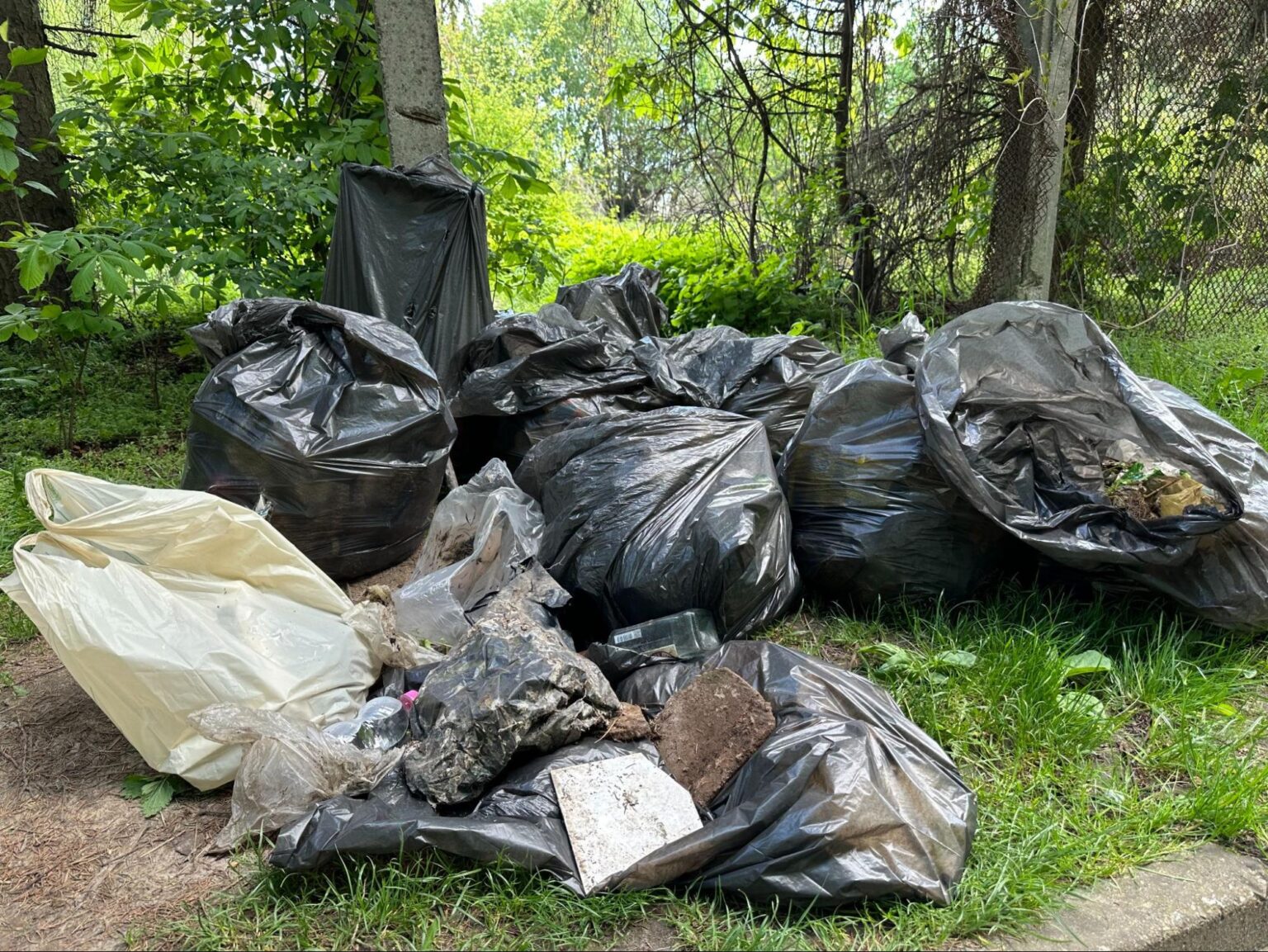 8 Locations Around the World That Really "Did" The Great Global Cleanup ...