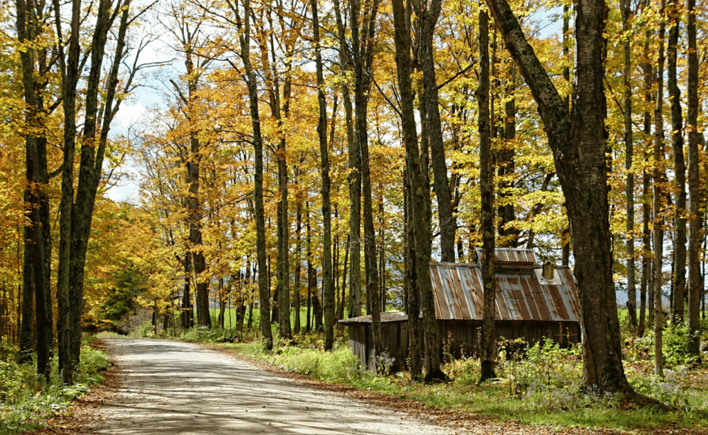 Vermont's Superfund Act Leads by Example | Earth Day