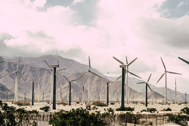 Renewable Energy Quiz - Earth Day
