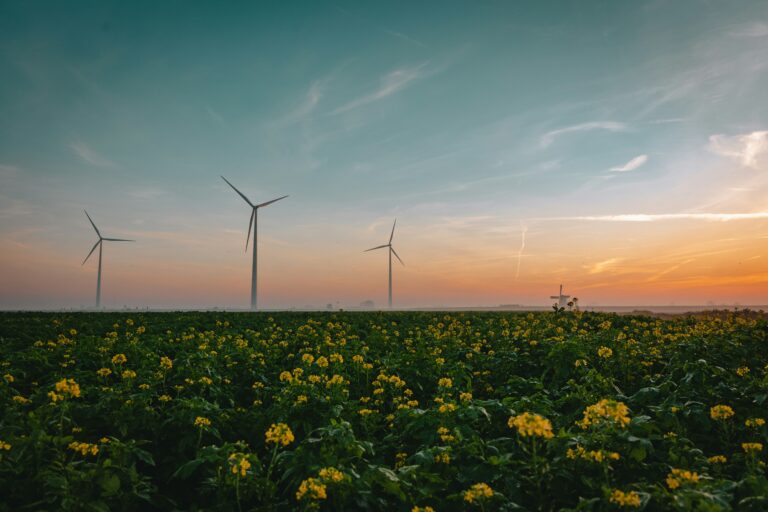 Earth Day 2025 | Activities & Resources for April 22 - Earth Day Earth Day 2025 | Activities & Resources for April 22 - Earth Day