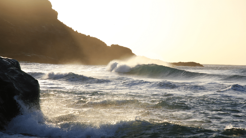6 Fun Facts About Tidal Energy - Earth Day