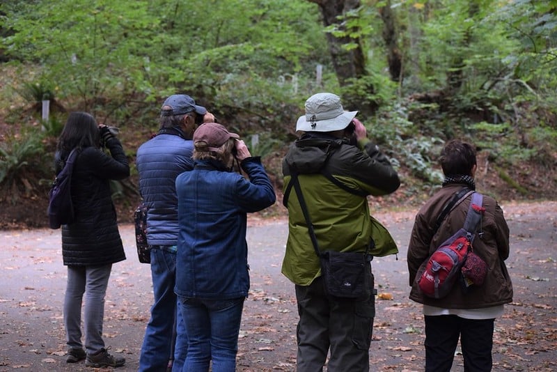 Hope and the Avian Migration Crisis | Earth Day