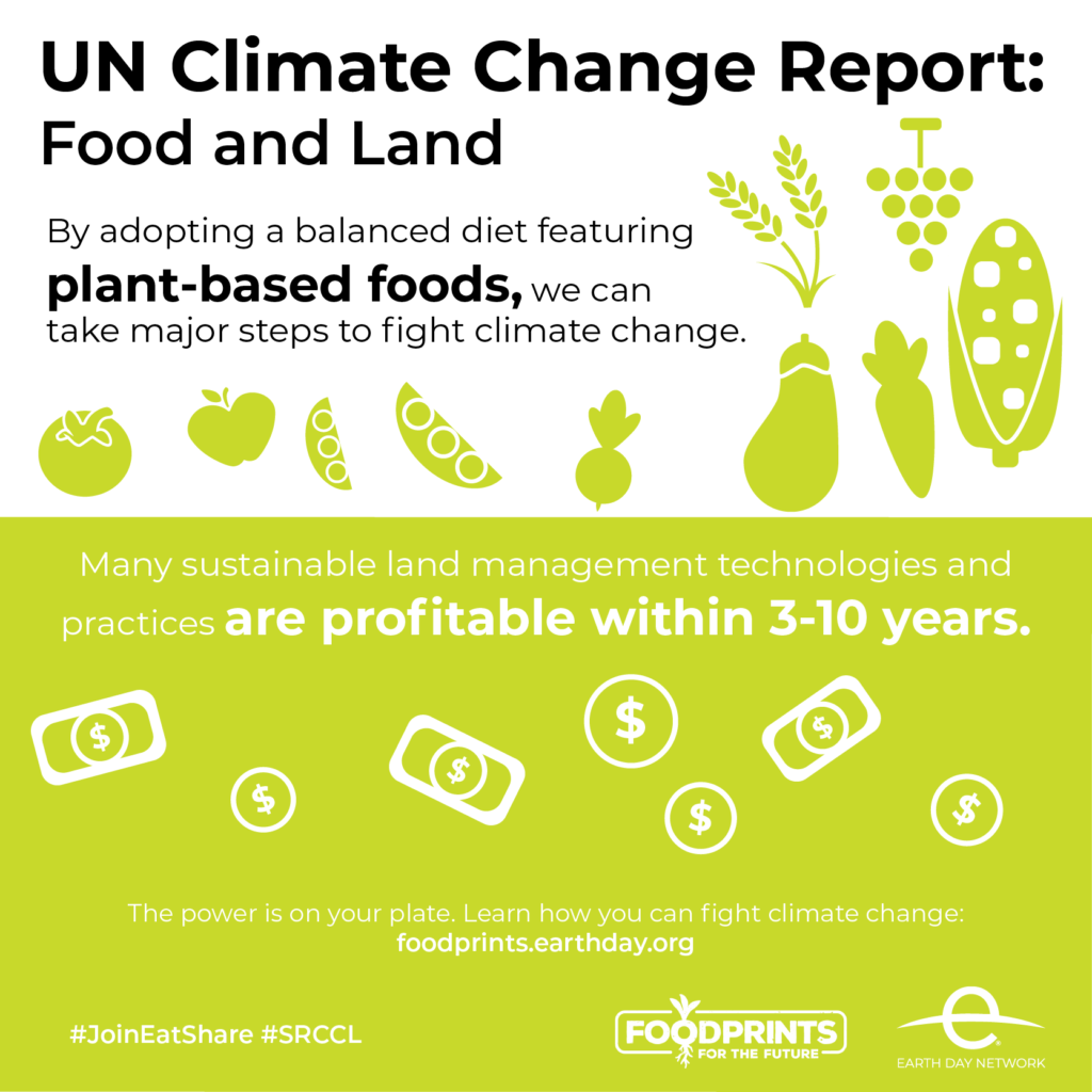UN report: Plant-based diets provide “major opportunities” to address ... UN report: Plant-based diets provide “major opportunities” to address ...