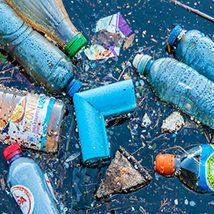 Earth Day | Earth Day Network